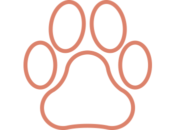 Landing Page - Elevia